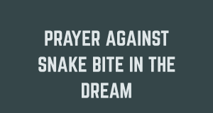 Prayers Against Snake Bite In The Dream