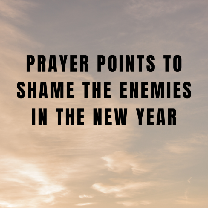 PRAYER POINTS TO SHAME THE ENEMIES IN THE NEW YEAR